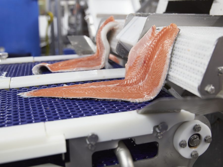 Produksjon – Sotra Fiskeindustri